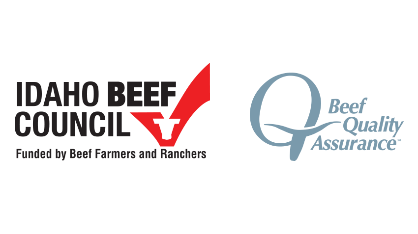 Twin Falls, Idaho - November 18, 2025